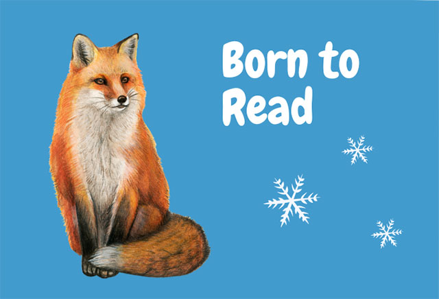 Storytimes | Darien Library